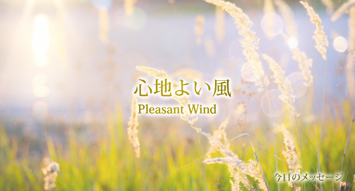 Pleasant Wind～心地よい風～ | 星のしずく